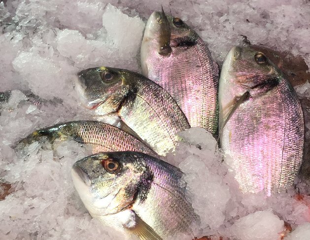 Recette dorade | poissonnerie antibes