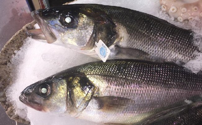 Recette loup | poissonnerie antibes