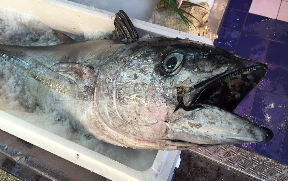 Recette thon | poissonnerie antibes