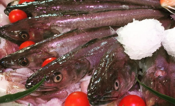 Recette colin | poissonnerie antibes